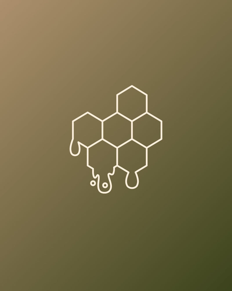 The Community's Trusted Partner Since 2013 – Vapor Medicare Philippines